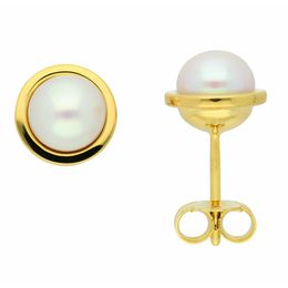 Adelia&acute;s ADELIA ́S Damen Paar Ohrh&auml;nger "Damen 585 Gold Ohrringe Ohrstecker mit S&uuml;&szlig;wasser Zuchtperle", Damen, Gelbgold 585 Gold, gold, Gelbgold 585, Gold,