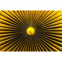 papermoon Fototapete "Abstrakt", B/L: 4m x 2,6m, Bahnen: 8 Stk., bunt, Schlafzimmer, Tapeten