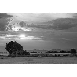 papermoon Fototapete "Landschaft Schwarz & Wei&szlig;", B/L: 4m x 2,6m, Bahnen: 8 Stk., schwarz, Schlafzimmer, Tapeten