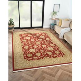 Teppich, B:200cm H:7,5mm L:290cm, rot, MyFlair M&Ouml;BEL & ACCESSOIRES, Polypropylen (PP), Wohnzimmer, Teppiche, "Maryam 1, LAGERR&Auml;UMUNG", Kurzflor,