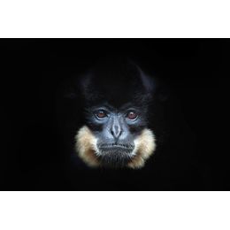 papermoon Fototapete "GELBERCHEEKED GIBBON-MENSCHEN AFFE VIETNAM PORTR&Auml;T", B/L: 5m x 2,8m, Bahnen: 10 Stk., bunt, Schlafzimmer, Tapeten