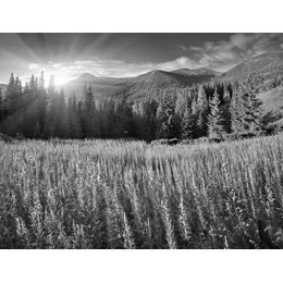 papermoon Fototapete "Landschaft Schwarz & Wei&szlig;", B/L: 3,5m x 2,6m, Bahnen: 7 Stk., schwarz, Schlafzimmer, Tapeten