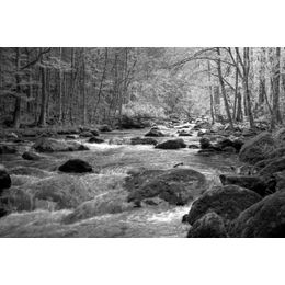 papermoon Fototapete "Fluss im Wald Schwarz & Wei&szlig;", B/L: 2,5m x 1,86m, Bahnen: 5 Stk., schwarz, Schlafzimmer, Tapeten