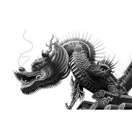 papermoon Fototapete "Chinesischer Drache Schwarz & Wei&szlig;", B/L: 3,5m x 2,6m, Bahnen: 7 Stk., schwarz, Schlafzimmer, Tapeten