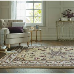 Teppich FLAIR RUGS, B:170cm H:8mm L:120cm, beige, Polypropylen, Wohnzimmer, Teppiche, "Sherborne", Orientteppich