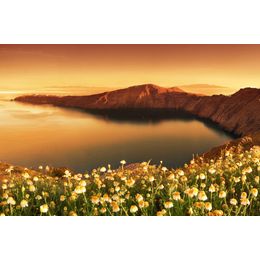 papermoon Fototapete "Blumenwiese vor Bucht", B/L: 4m x 2,6m, Bahnen: 8 Stk., bunt, Schlafzimmer, Tapeten