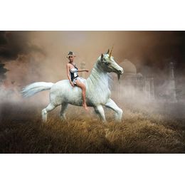 papermoon Fototapete "Einhorn Fantasy Elf", B/L: 4m x 2,6m, Bahnen: 8 Stk., bunt, Schlafzimmer, Tapeten