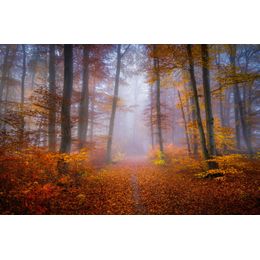 papermoon Fototapete "Photo-Art NORBERT MAIER, OKTOBER TRAIL", B/L: 3,5m x 2,6m, Bahnen: 7 Stk., bunt, Schlafzimmer, Tapeten