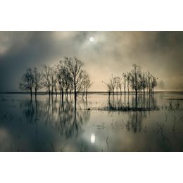 papermoon Fototapete "Photo-Art JOANNE_FLJ, SEESTSSEE", B/L: 4m x 2,6m, Bahnen: 8 Stk., bunt, Schlafzimmer, Tapeten