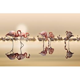 papermoon Fototapete "Photo-Art NASSER OSMAN, FLAMINGOS", B/L: 4,5m x 2,8m, Bahnen: 9 Stk., bunt, Schlafzimmer, Tapeten