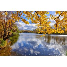 papermoon Fototapete "Wald See", B/L: 5m x 2,8m, Bahnen: 10 Stk., bunt, Schlafzimmer, Tapeten