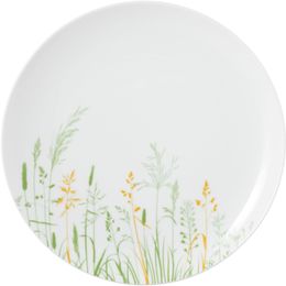 Seltmann Weiden Fr&uuml;hst&uuml;cksteller "Liberty - Meadow Grasses green", 22,7cmwei&szlig;, gr&uuml;n, curry, Speiseteller, Teller rund 22,5 cm