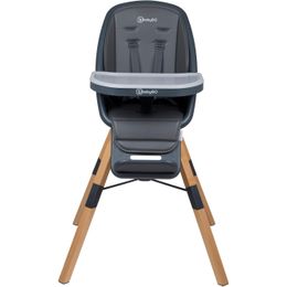 BABYGO Baby Hochstuhl "Carou, grau", grau, St&uuml;hle, Sitz um 360&Acirc; drehbar