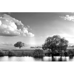 papermoon Fototapete "Landschaft Schwarz & Wei&szlig;", B/L: 5m x 2,8m, Bahnen: 10 Stk., schwarz, Schlafzimmer, Tapeten