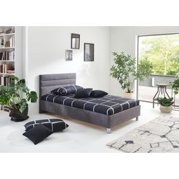 Polsterbett, B:110cm L:210cm, grau, Westfalia Schlafkomfort, Bezug: Microvelours (100% Polyester);Bonnell-Federkern-Matratzenbezug: 100%