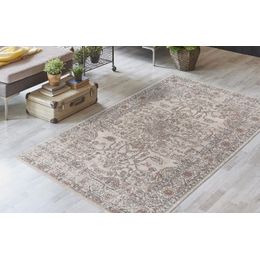 Teppich Kayoom, B:120cm H:13mm L:170cm, beige, Baumwolle, Wohnzimmer, Teppiche, "Percy 300"