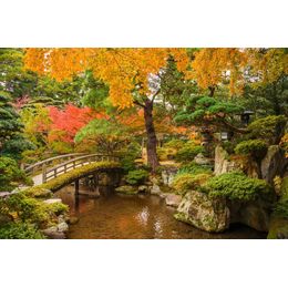 papermoon Fototapete "Br&uuml;cke im Garten", B/L: 3,5mm x 2,6mm, Bahnen: 7 Stk. St., bunt, Schlafzimmer, Tapeten