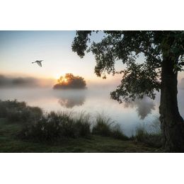 papermoon Fototapete "See am Wald", B/L: 5m x 2,8m, Bahnen: 10 Stk., bunt, Schlafzimmer, Tapeten