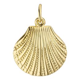 Jobo Damen Kettenanh&auml;nger "Anh&auml;nger Muschel", Gelbgold 333, gold, Gelbgold 333, Schmuckanh&auml;nger, 333 Gold