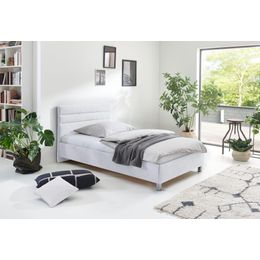 Polsterbett, B:110cm L:210cm, wei&szlig;, Westfalia Schlafkomfort, Bezug: Microvelours (100% Polyester);Bonnell-Federkern-Matratzenbezug: 100%