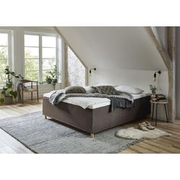 Boxbett Home Affaire, B:160cm L:200cm, braun, 100% Polypropylen, Komplettbetten, "Thorsby", Boxbett ohne Kopfteil, frei im Raum stellbar, f&uuml;r