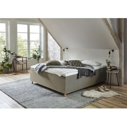 Boxbett Home Affaire, B:160cm L:200cm, beige, 100% Polypropylen, Komplettbetten, "Thorsby", Boxbett ohne Kopfteil, frei im Raum stellbar, f&uuml;r