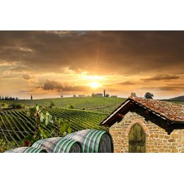 papermoon Fototapete "Wein Felder", B/L: 5m x 2,8m, Bahnen: 10 Stk., bunt, Schlafzimmer, Tapeten