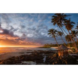 papermoon Fototapete "Photo-Art RICHARD VANDEWALLE, R&Uuml;CKKEHR ZUM PARADIES", B/L: 3,5m x 2,6m, Bahnen: 7 Stk., bunt, Schlafzimmer, Tapeten