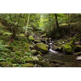 papermoon Fototapete "Terrasse am Wasser", B/L: 4m x 2,6m, Bahnen: 8 Stk., bunt, Schlafzimmer, Tapeten