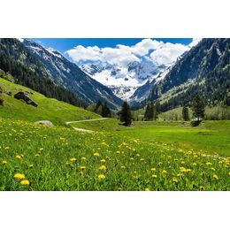 papermoon Fototapete "Alpenlandschaft", B/L: 3,5m x 2,6m, Bahnen: 7 Stk., bunt, Schlafzimmer, Tapeten