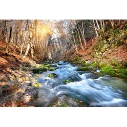 papermoon Fototapete "Fluss durch Wald", B/L: 4m x 2,6m, Bahnen: 8 Stk., bunt, Schlafzimmer, Tapeten
