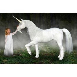 papermoon Fototapete "Einhorn Hoffnung Liebe Frieden", B/L: 3,5m x 2,6m, Bahnen: 7 Stk., bunt, Schlafzimmer, Tapeten