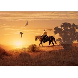 papermoon Fototapete "Cowboy", B/L: 4m x 2,6m, Bahnen: 8 Stk., bunt, Schlafzimmer, Tapeten