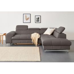 Ecksofa COTTA, B:257cm H:72cm T:206cm, braun, Luxus-Microfaser (100% Polyester);Kunstleder Softlux;Leder Advantage (abgedecktes Spalt-Rindsleder),