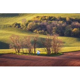papermoon Fototapete "B&auml;ume in Fledern", B/L: 4,5m x 2,8m, Bahnen: 9 Stk., bunt, Schlafzimmer, Tapeten