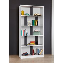 Standregal wimex, B:90cm H:198cm T:38cm, wei&szlig;, Wohnzimmer, Regale, "Joker", B&uuml;cherregal, Mehrzweckregal mit vielen F&auml;chern, 198cm hoch, 90cm breit