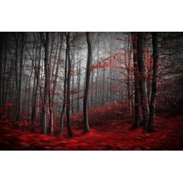papermoon Fototapete "Photo-Art SAMANTA KRIVEC, BLUTIGER FORREST", B/L: 5m x 2,8m, Bahnen: 10 Stk., bunt, Schlafzimmer, Tapeten
