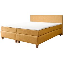 Boxspringbett Alina, B:161cm L:206cm, gelb, Struktur fein TCM (100% Polyester), Jugendzimmer, Komplettbetten, inklusive Matratze und Topper, in