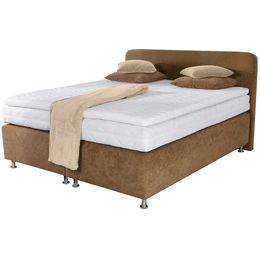 Boxspringbett, B:210cm L:212cm, braun, Westfalia Schlafkomfort, Bezug Kaltschaum-Topper: mit Klimafaser versteppt, 100% Polyester;Bezug untere Box