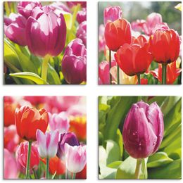 Artland "Fr&uuml;hling und Tulpen" Blumen 4 Stk. tlg. 4er Set, verschiedene Gr&ouml;&szlig;en