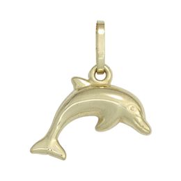 Jobo Damen Kettenanh&auml;nger "Anh&auml;nger Delfin", Gelbgold 333, gold, Gelbgold 333, Schmuckanh&auml;nger, 333 Gold