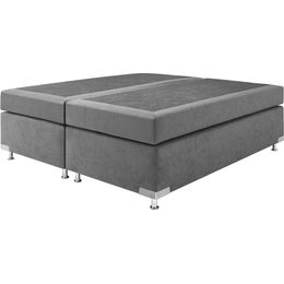 Boxspringbett, B:202cm L:201cm, grau, Westfalia Schlafkomfort, Microvelours (100% Polyester), Komplettbetten, "Holland", ohne Kopfteil, frei im Raum