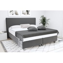 Boxspringbett, L:210cm, grau, Westfalia Schlafkomfort, 80% Baumwolle/ 20% Polyester;Polsterwatte: 100% Polyester, Komplettbetten, "Sven", inkl.