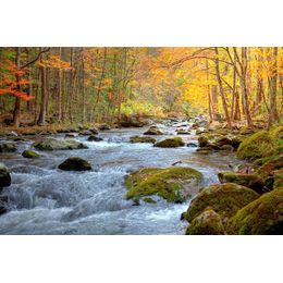 papermoon Fototapete "Rauchiger Gebirgsbach", B/L: 3,5m x 2,6m, Bahnen: 7 Stk., bunt, Wohnzimmer, Tapeten