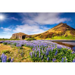 papermoon Fototapete "BLUMEN LANDSCHAFT-SEE GEBIRGE BERGE LAVENDEL BLUME DEKO", B/L: 3,5mm x 2,6mm, Bahnen: 7 Stk. St., bunt, Schlafzimmer, Tapeten