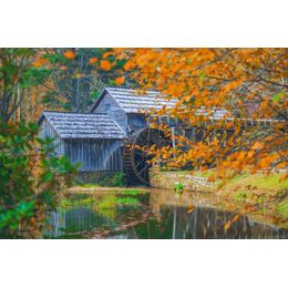 papermoon Fototapete "SEE-LANDSCHAFT-M&Uuml;HLE WALD WALD FLUSS STRAND BOOTE SONNE", B/L: 5m x 2,8m, Bahnen: 10 Stk., bunt, Schlafzimmer, Tapeten