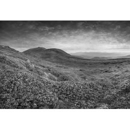 papermoon Fototapete "Landschaft Schwarz & Wei&szlig;", B/L: 5m x 2,8m, Bahnen: 10 Stk., schwarz, Schlafzimmer, Tapeten
