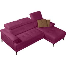 Ecksofa Egoitaliano, B:250cm H:99cm T:166cm, pink, Wohnzimmer, Sofas, "Soul, Design und Sitzkomfort auf hohem Niveau, tolle Details, L-Form", mit