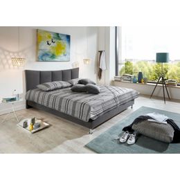 Polsterbett, B:190cm L:210cm, grau, Westfalia Schlafkomfort, Bezug Bett: Microfaser (100% Polyester);Bonnell-Federkernmatratze: Mischgewebe (51%