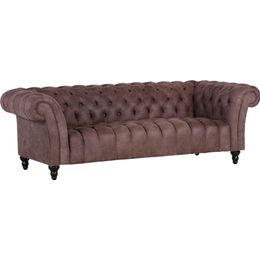 Big-Sofa GUTMANN FACTORY, B:230cm H:74cm T:101cm, braun, Sofas, "Amazonas", aus Anilinleder